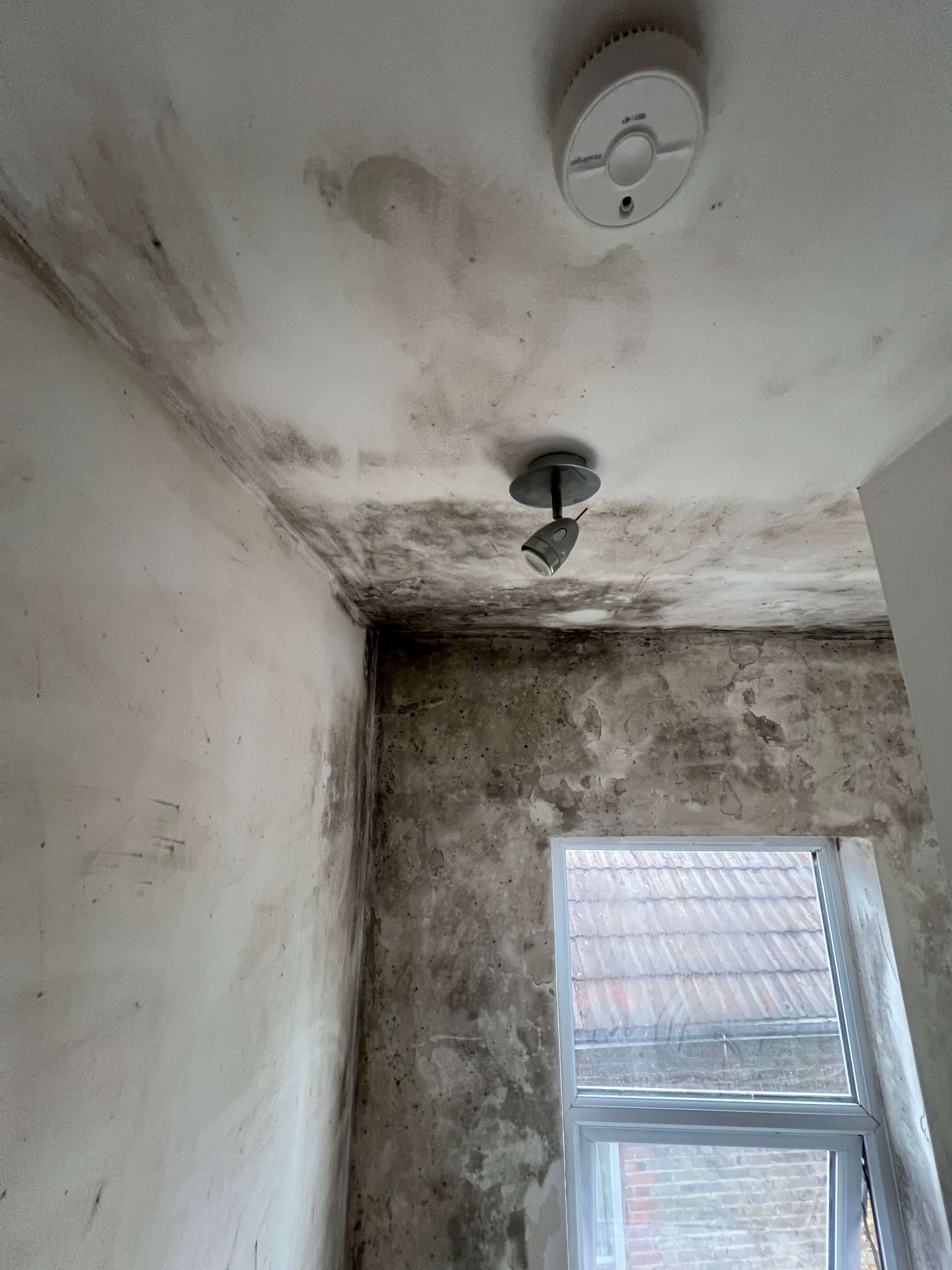 UKAME - UK Academy of Mould Experts | Professional Mould Training